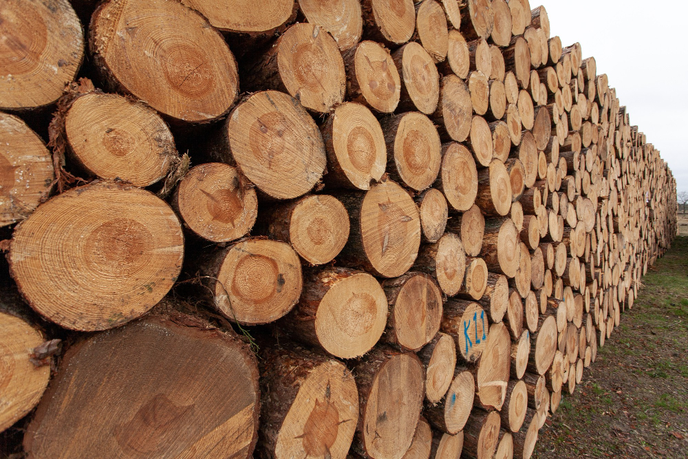 Tallowwood Timber Information – Strength, Durability & Appearance ...